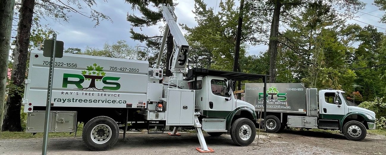 Ray's Tree Service - Contact Us, Tree Services, Arborist